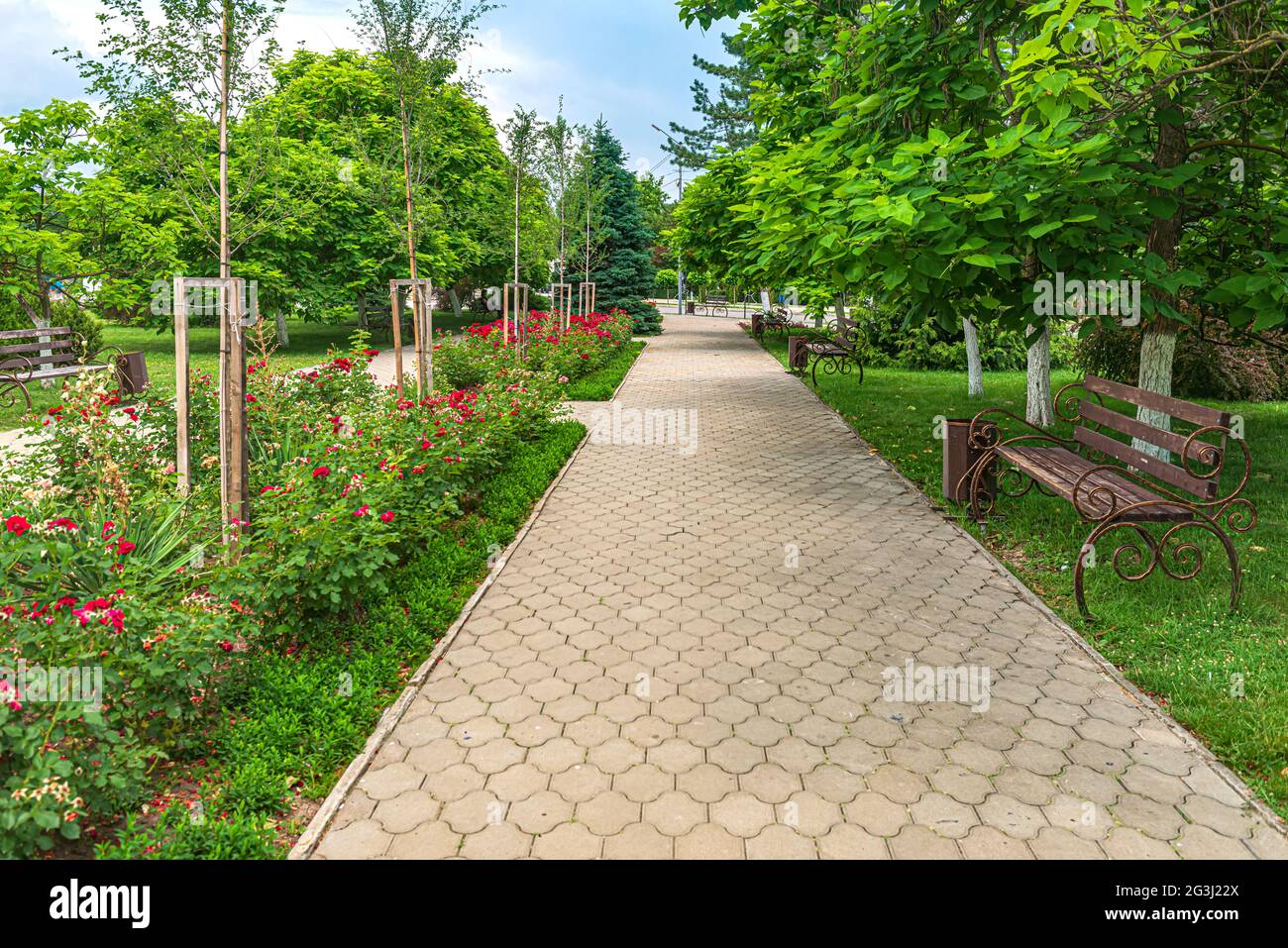 An alley decorated with roses Stock Photo - Alamy
