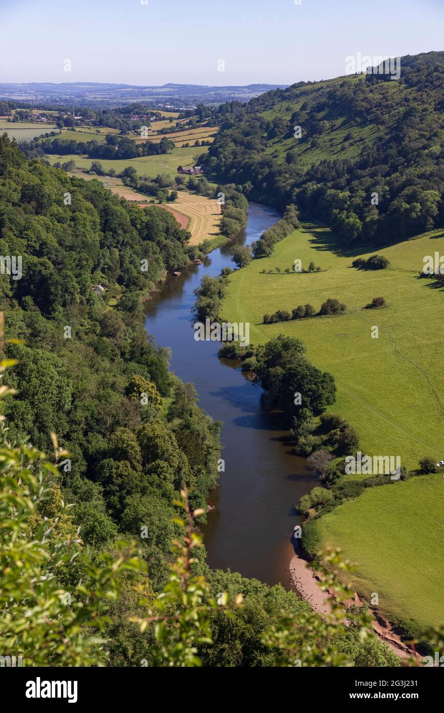 Viewpoint Forest Of Dean