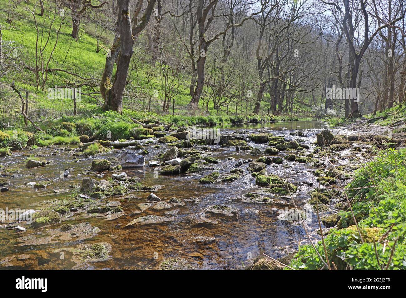 Lathkill Dale Stream Stock Photo - Alamy