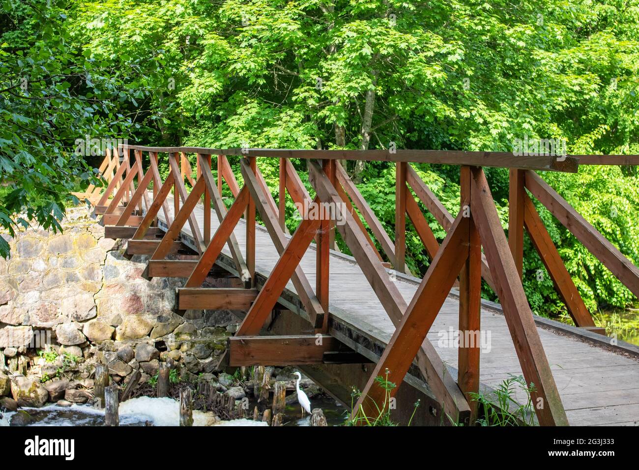 Bridge over a forest river among green bushes close up Stock Photo - Alamy