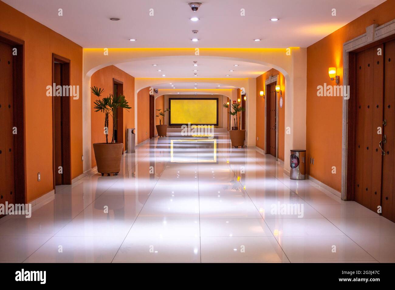 Inside view of a luxurious and modern hallway of a hotel Stock Photo ...