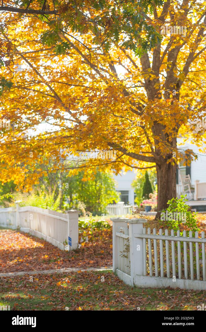 Sandwich village hi-res stock photography and images - Alamy