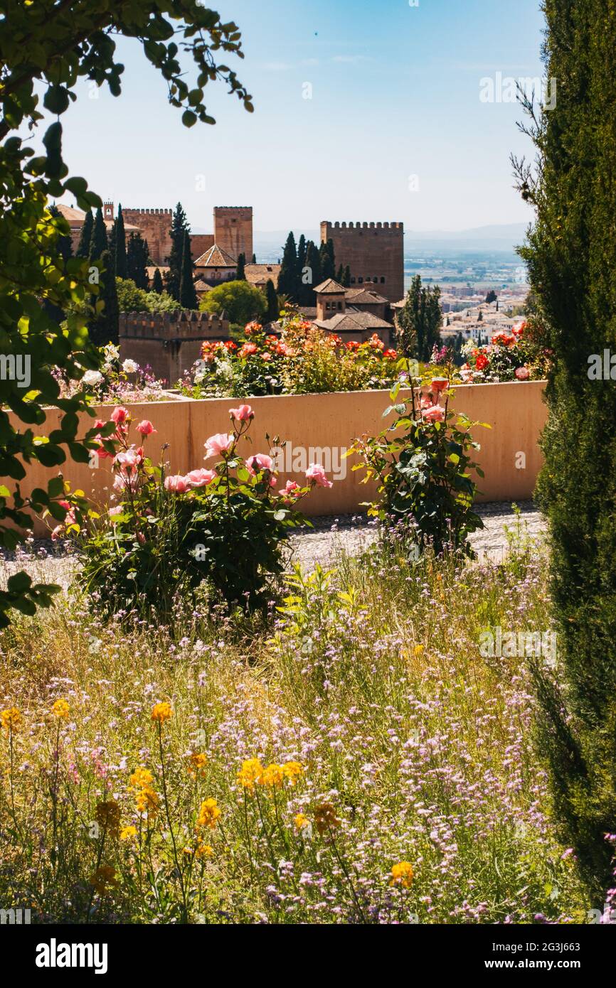 Peering at The Alhambra palace complex from behind ornate gardens of ...