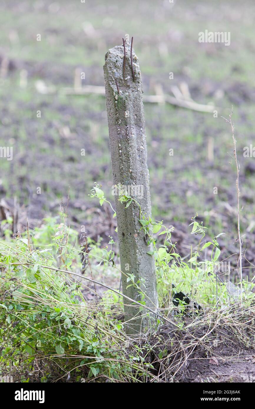 Cracked concrete column hi-res stock photography and images - Alamy