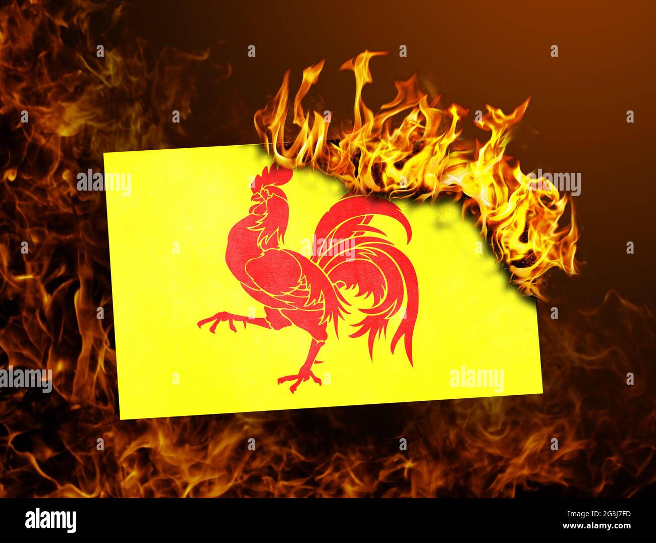 Wallonian hi-res stock photography and images - Alamy