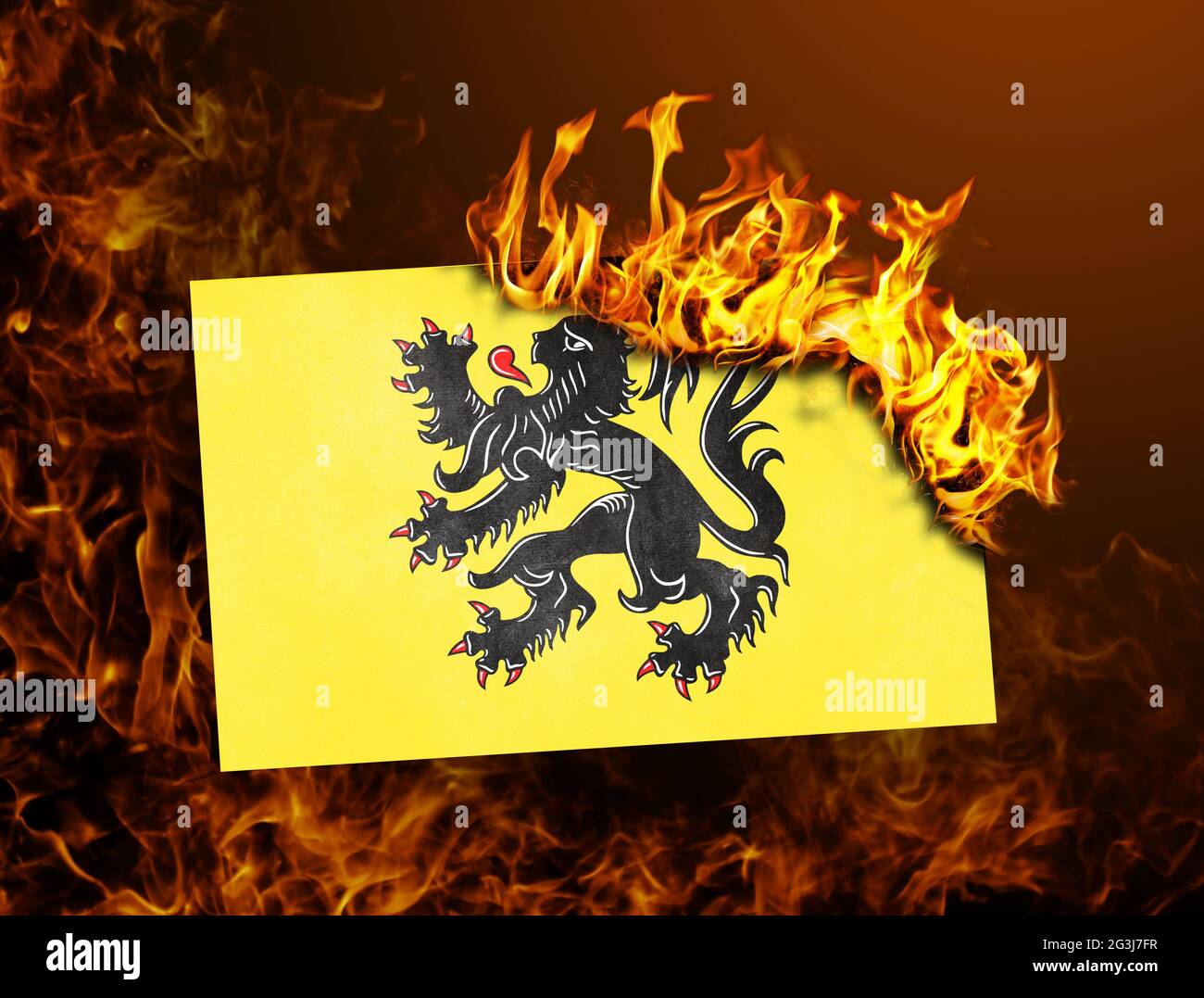 Flag burning - Flanders Stock Photo - Alamy