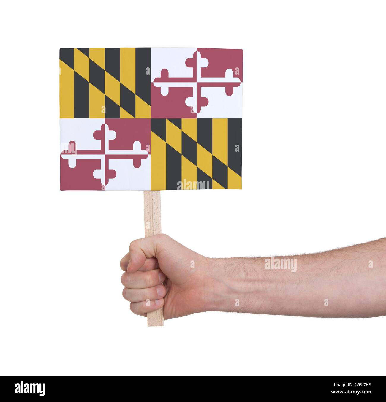 Hand holding small card - Flag of Maryland Stock Photo - Alamy