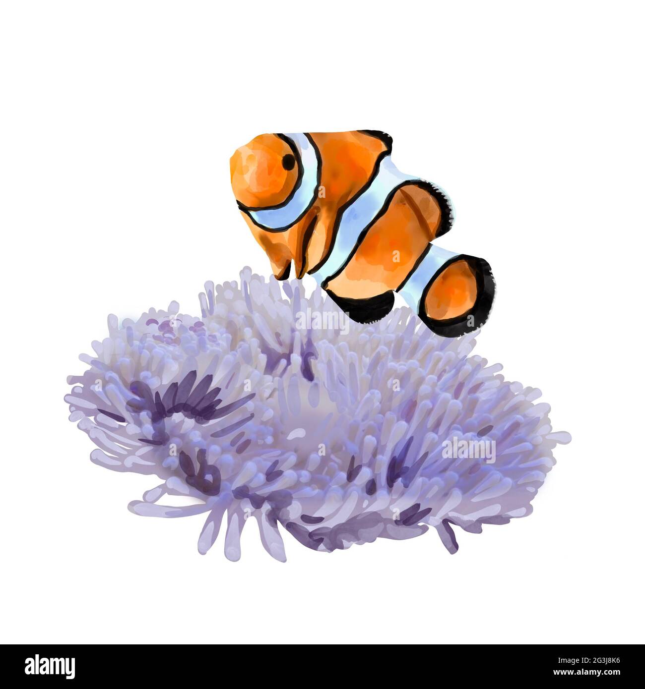 Clownfish And Sea Anemone Clipart