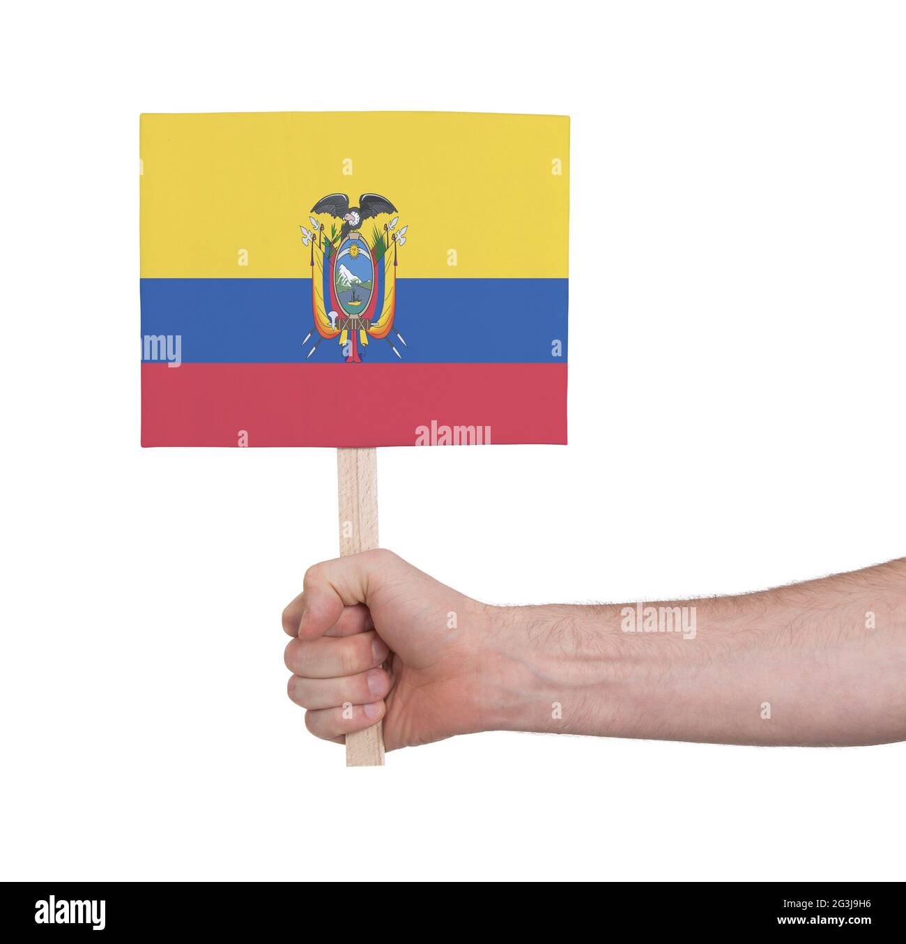 Hand holding small card - Flag of Ecuador Stock Photo - Alamy