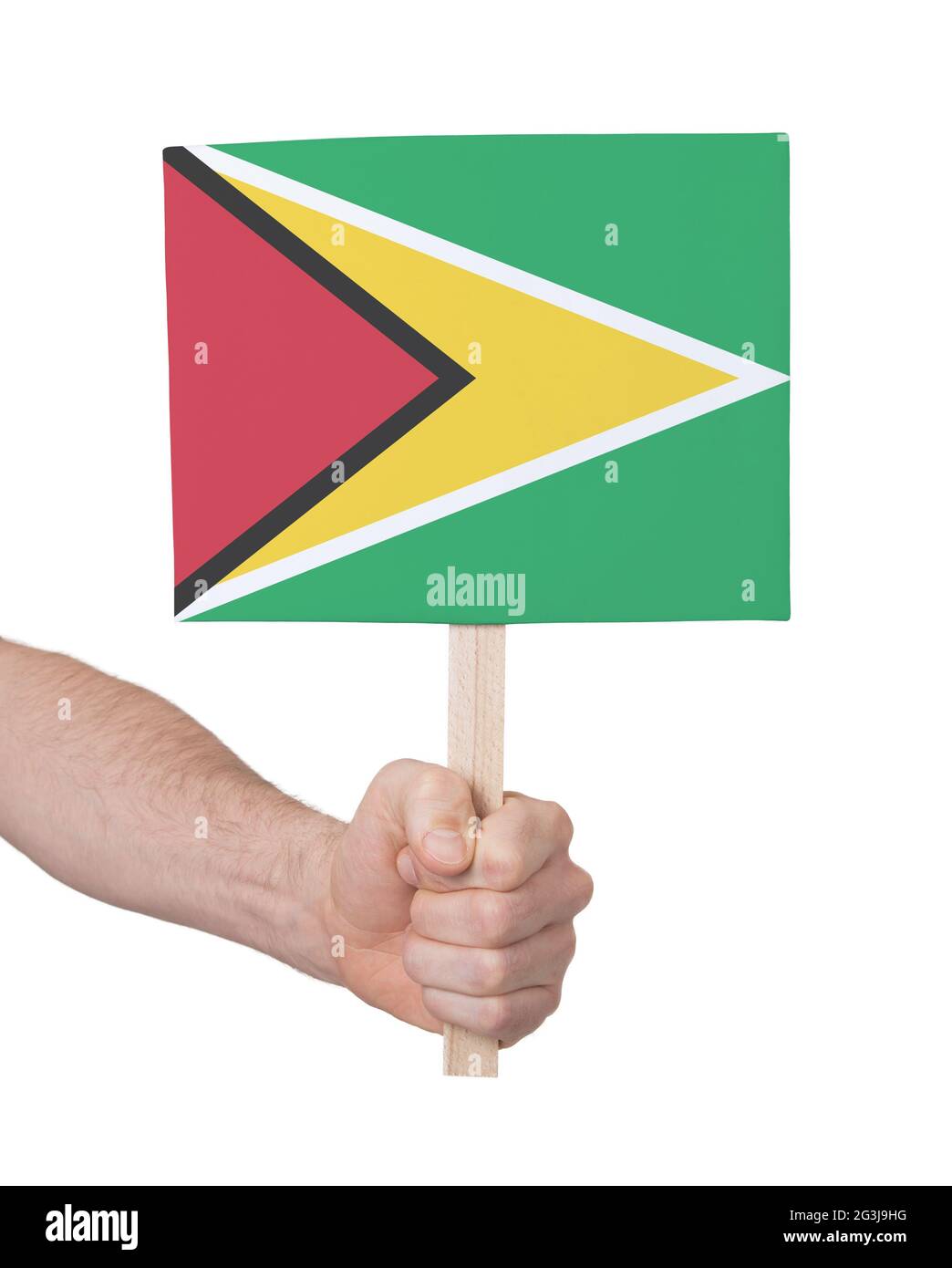 Hand holding small card - Flag of Guyana Stock Photo - Alamy