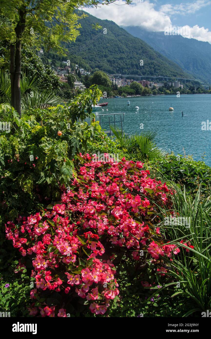 Republic and canton of geneva hi-res stock photography and images - Alamy