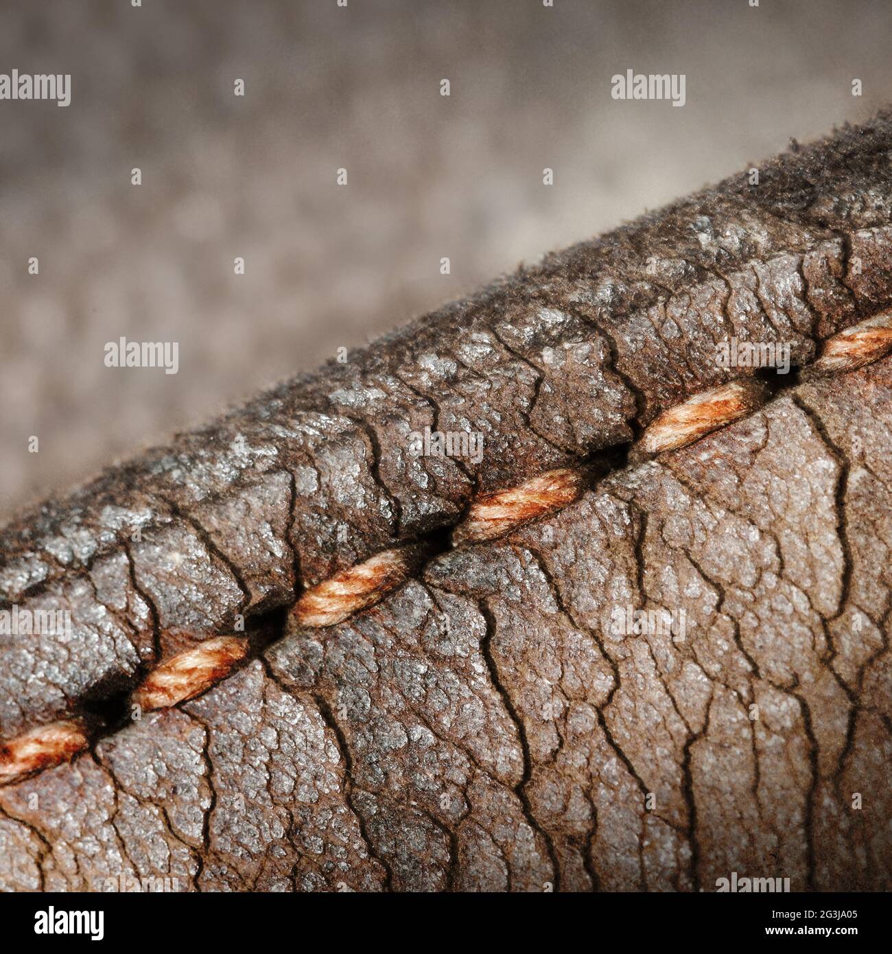 Close-up of old stiches in leather Stock Photo - Alamy