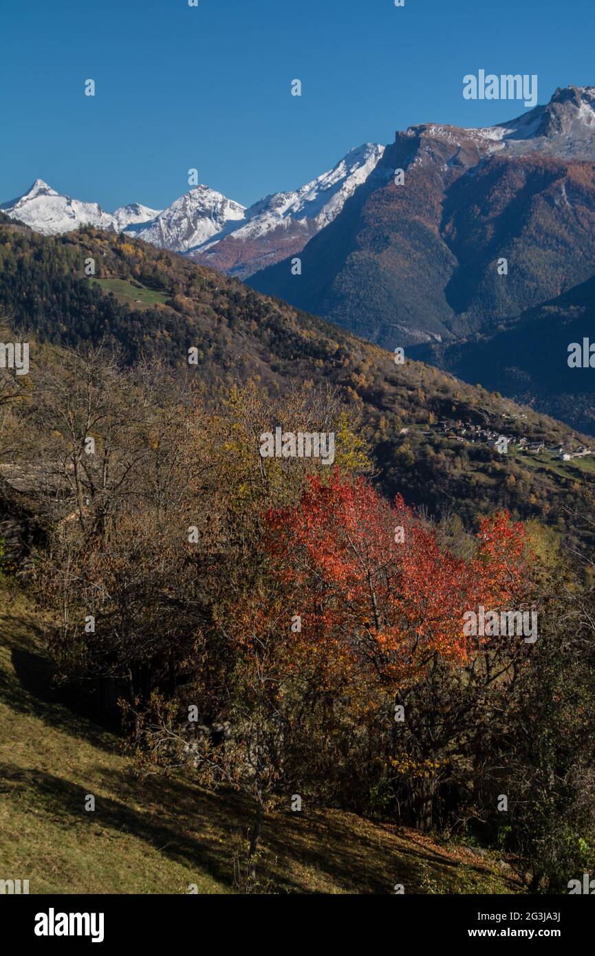 Autumn in swiss alps Stock Photo - Alamy