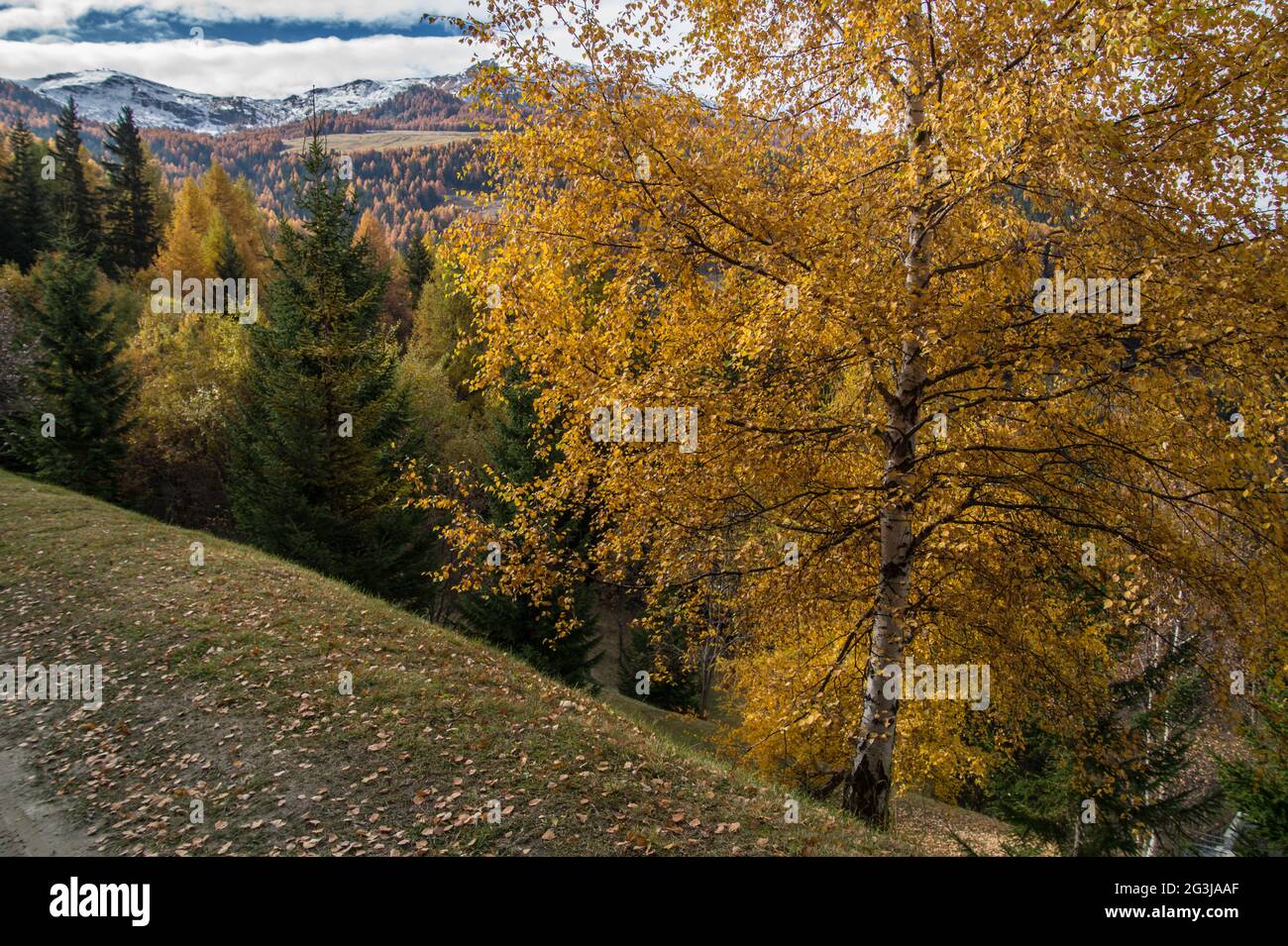 Rural autumn colour hi-res stock photography and images - Alamy