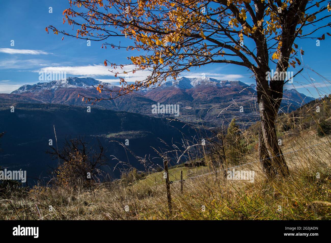 Autumn in swiss alps Stock Photo - Alamy