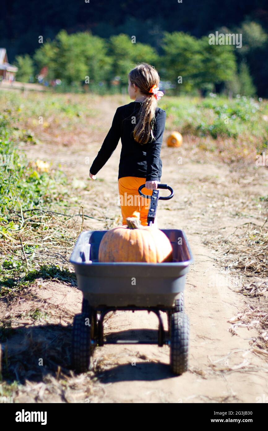 Girl child dressed for Halloween pulling a pumpkin in a wagon at the ...