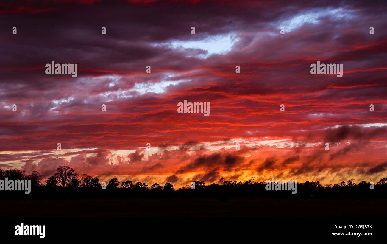 East texas hi-res stock photography and images - Alamy