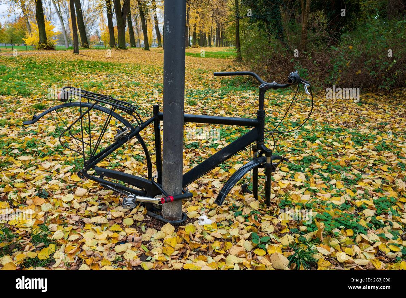Bicycle without wheels in the park Stock Photo - Alamy