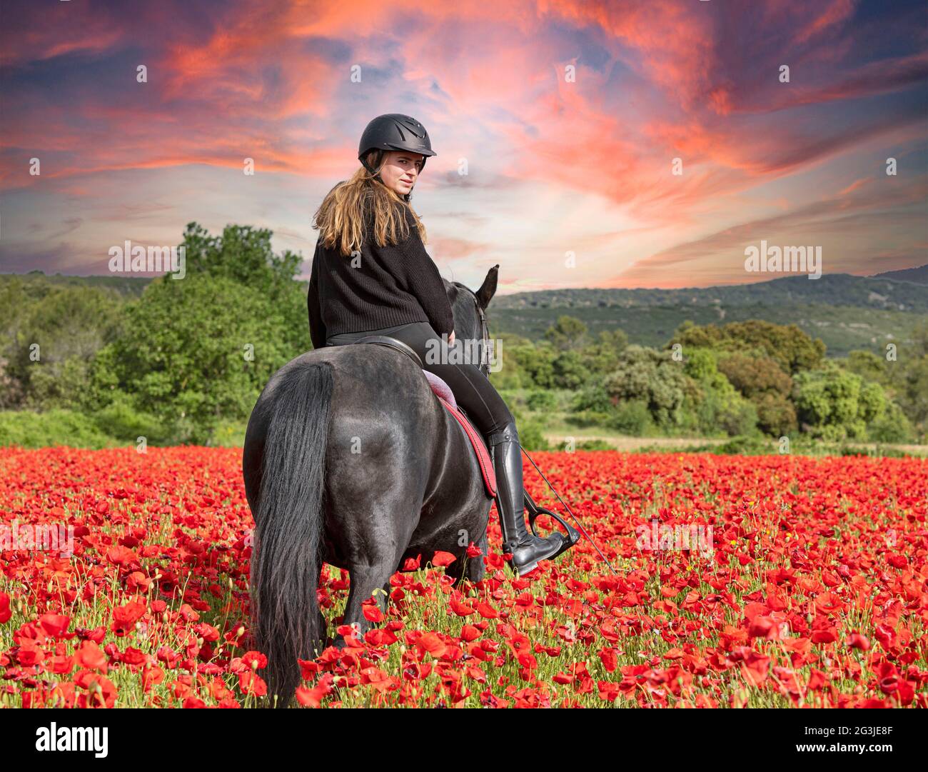 riding girl are training her black horse Stock Photo - Alamy