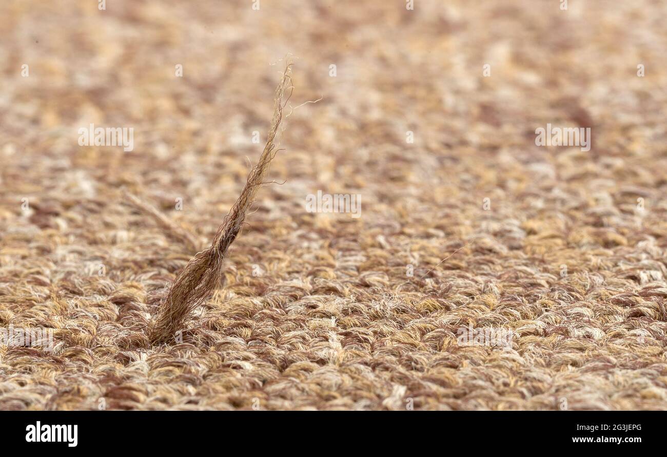 Broken fiber in carpet texture close-up Stock Photo - Alamy