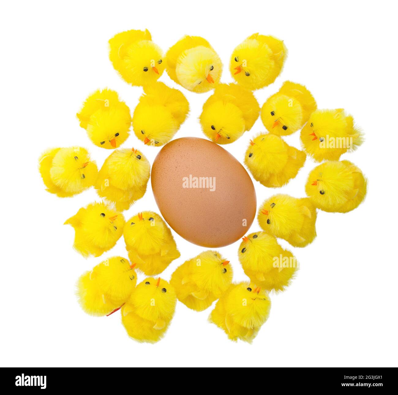 Single easter chick with a large egg Stock Photo - Alamy