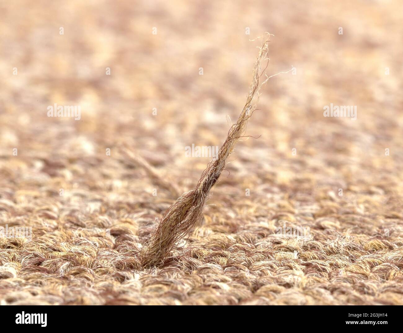 Broken fiber in carpet texture close-up Stock Photo - Alamy