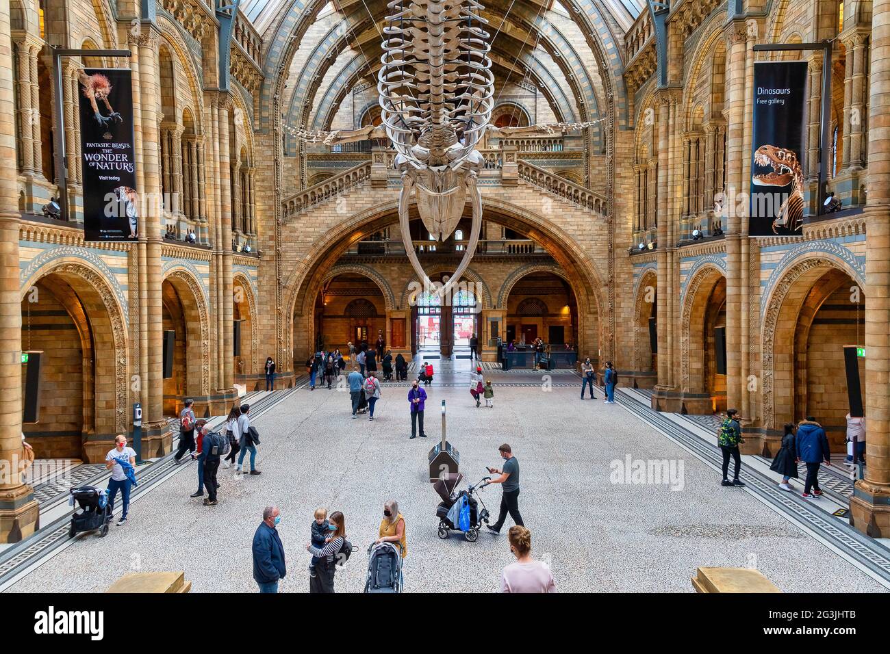 Natural history museum london interior hi-res stock photography and ...