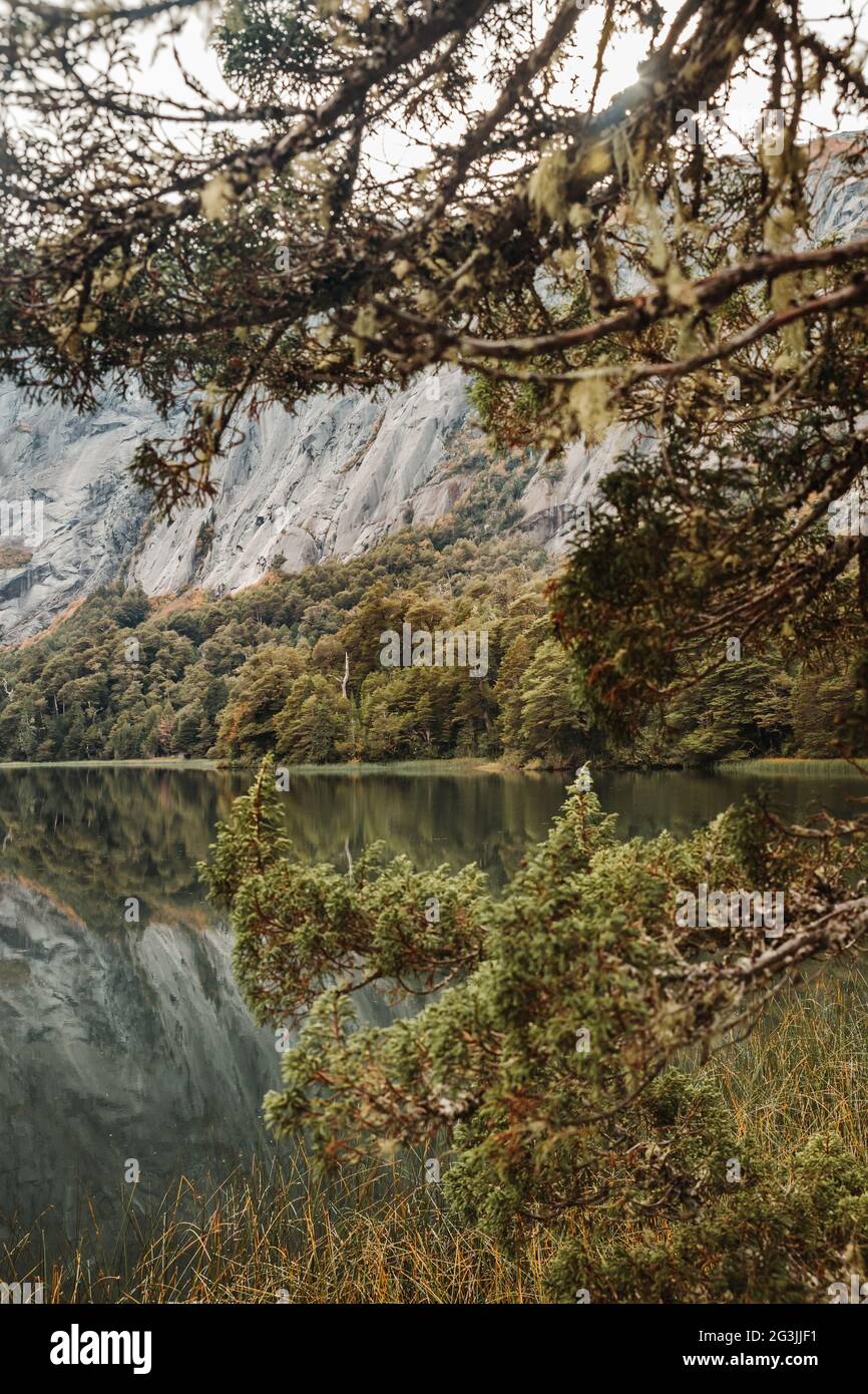 Beautiful shot dense forests hi-res stock photography and images - Alamy