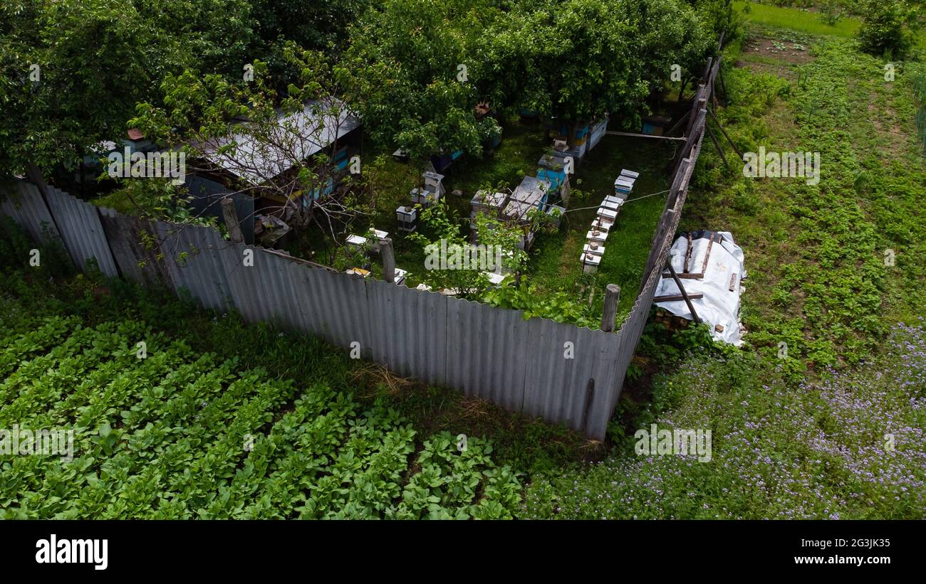 apiary near the house with a garden Stock Photo - Alamy