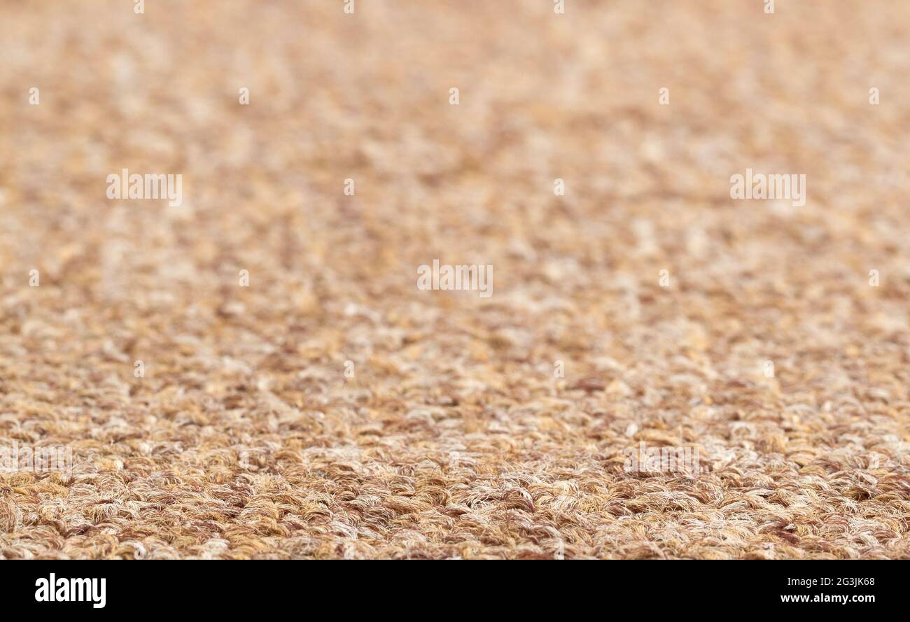 Carpet texture close-up Stock Photo - Alamy