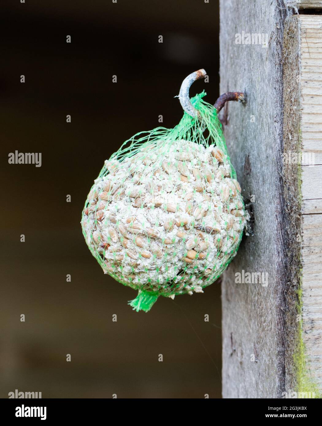 Tallow ball hi-res stock photography and images - Alamy