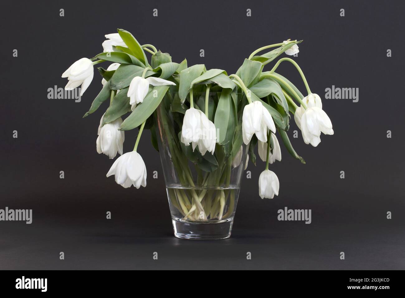 Vase full of droopy and dead flowers Stock Photo - Alamy