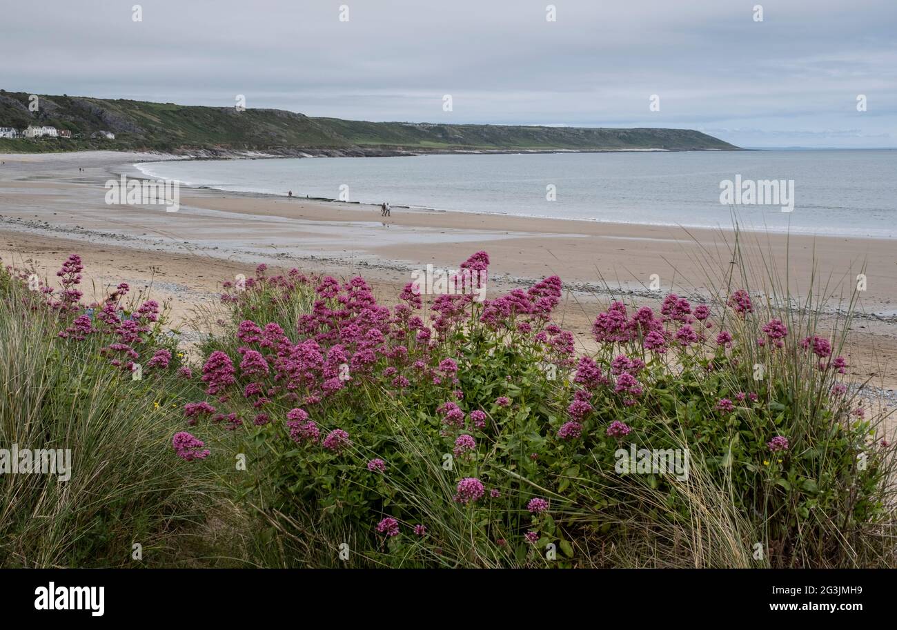 A view of the beach at Port Eynon in South Wales, part of the Gower ...
