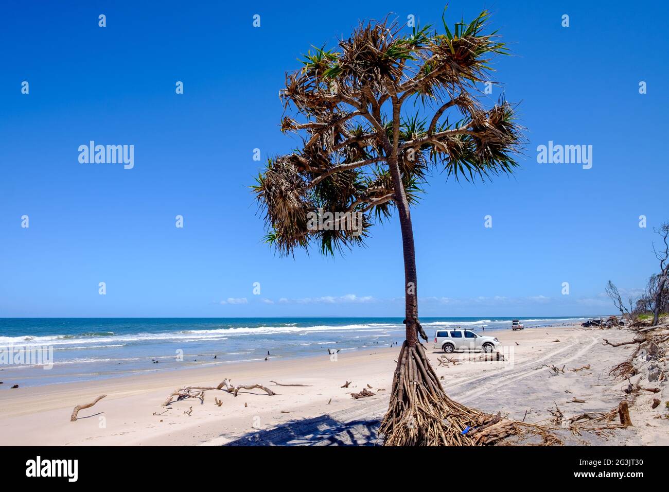 On the beach - Northern section Bribie Island Stock Photo - Alamy