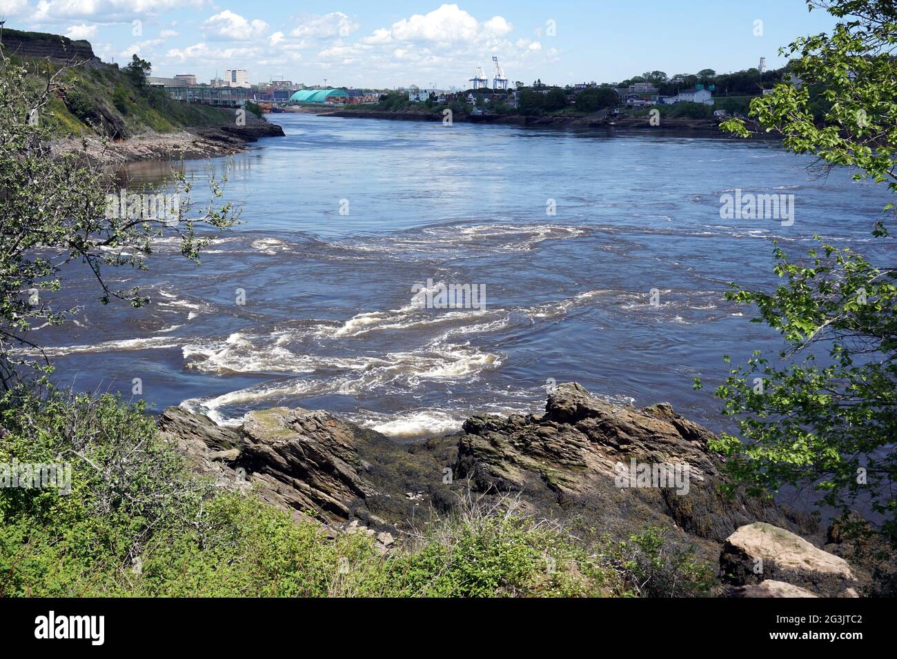 The Saint John River, New Brunswick Stock Photo - Alamy