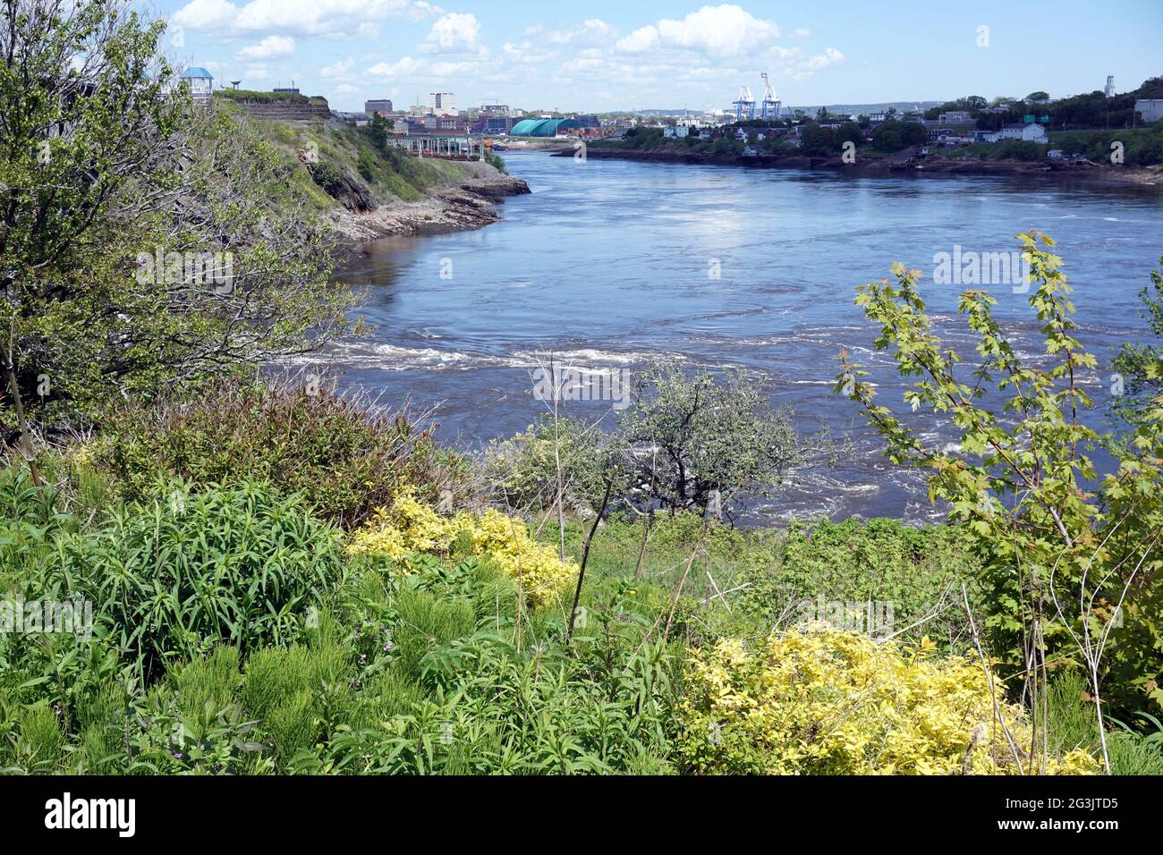 The Saint John River, New Brunswick Stock Photo - Alamy
