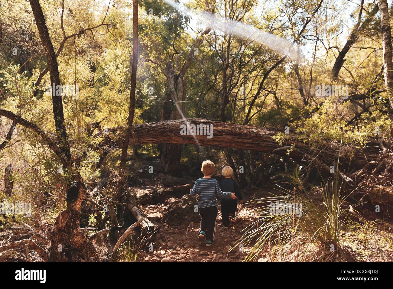 Blonde child running park hi-res stock photography and images - Alamy