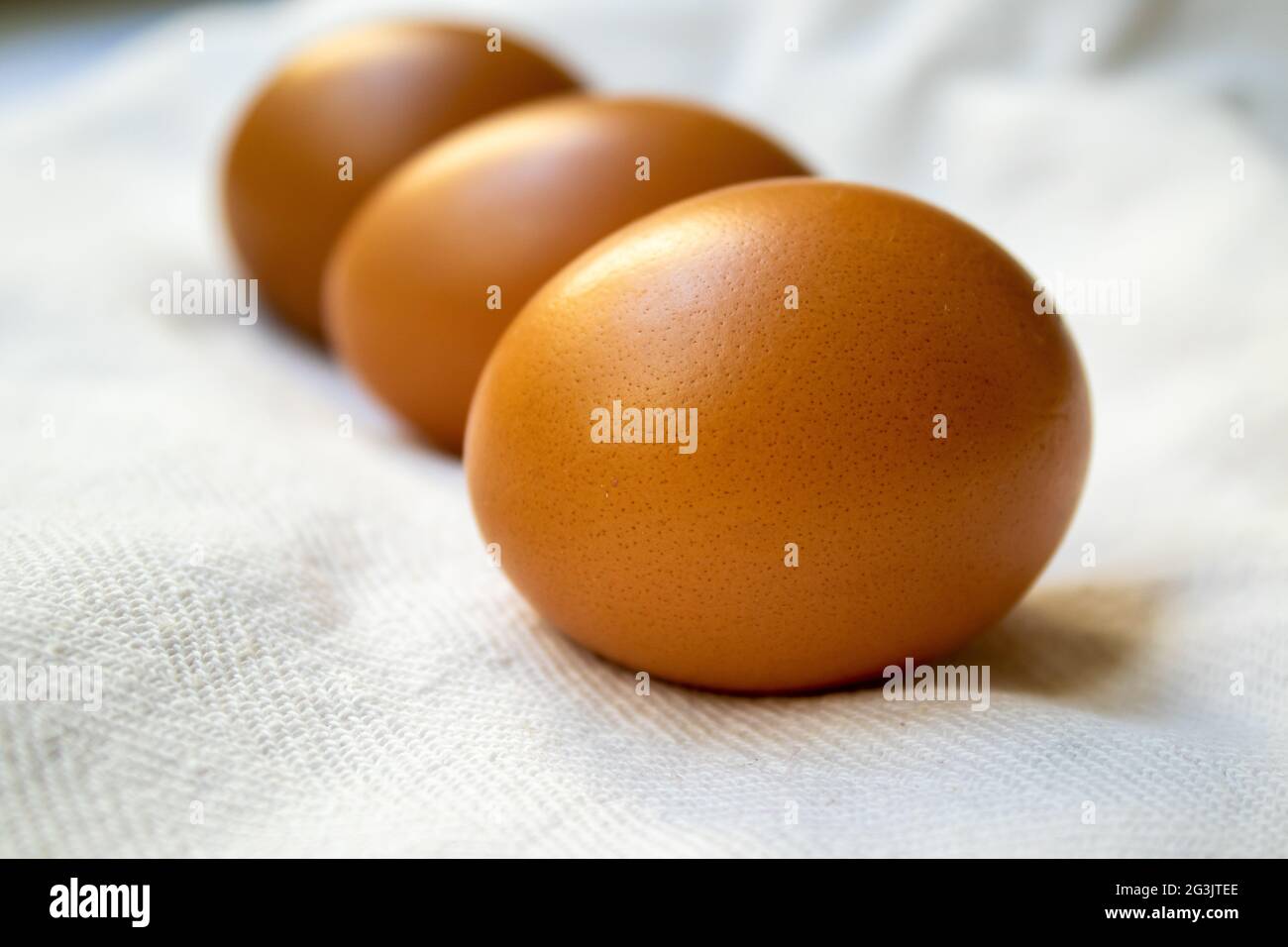 Close-up egg on white background Stock Photo - Alamy