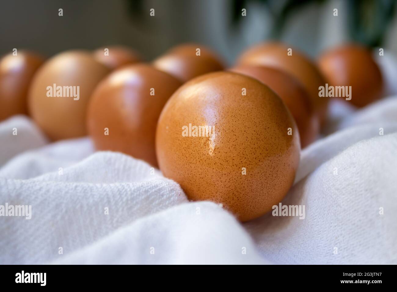 Close-up egg on white background Stock Photo - Alamy