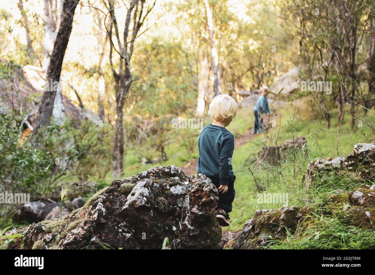 Unrecognizable blonde kid running in the forest with his brother Stock ...