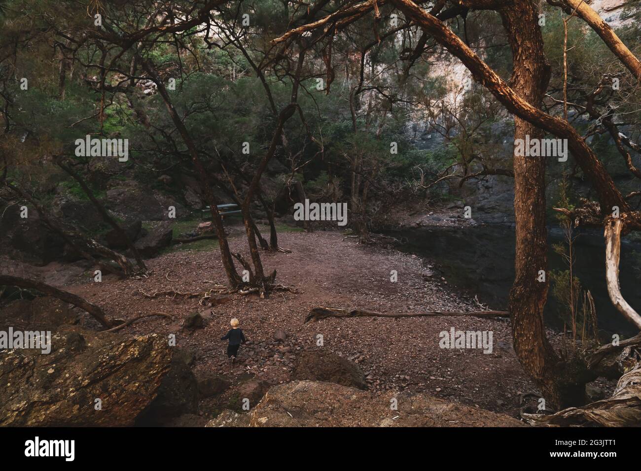 Blonde child running park hi-res stock photography and images - Alamy