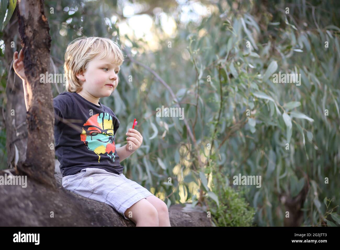 Blonde kid sitting on a tree trunk in the forest Stock Photo - Alamy