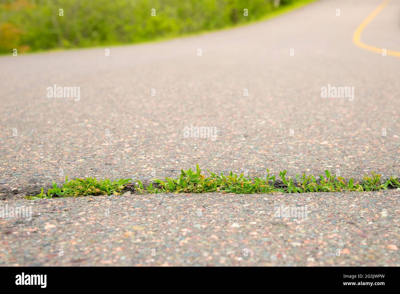 Crack surface asphalt road texture hi-res stock photography and images ...
