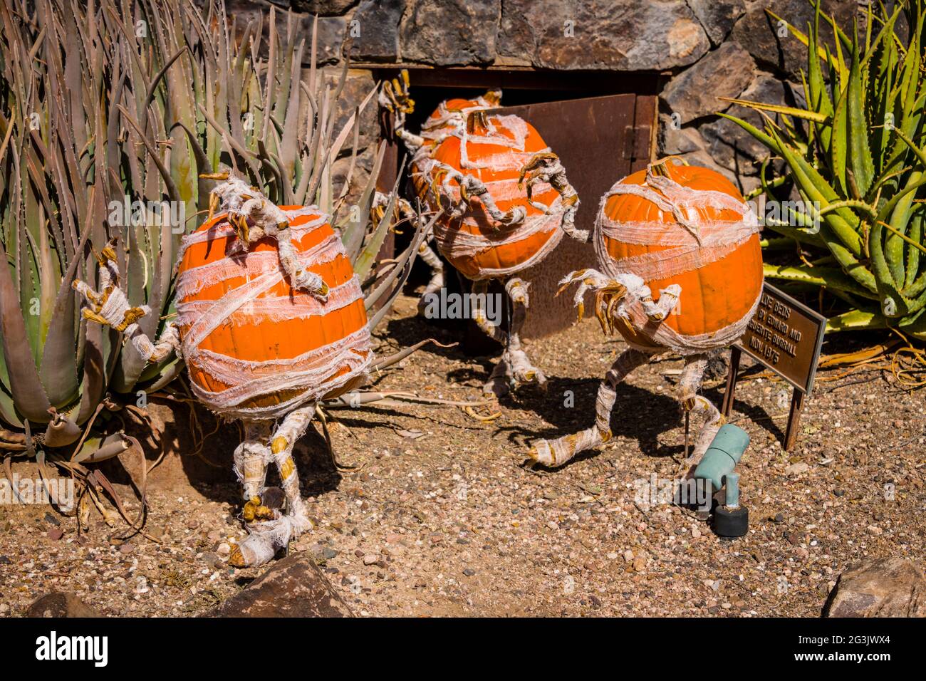 Ray villafane hi-res stock photography and images - Alamy