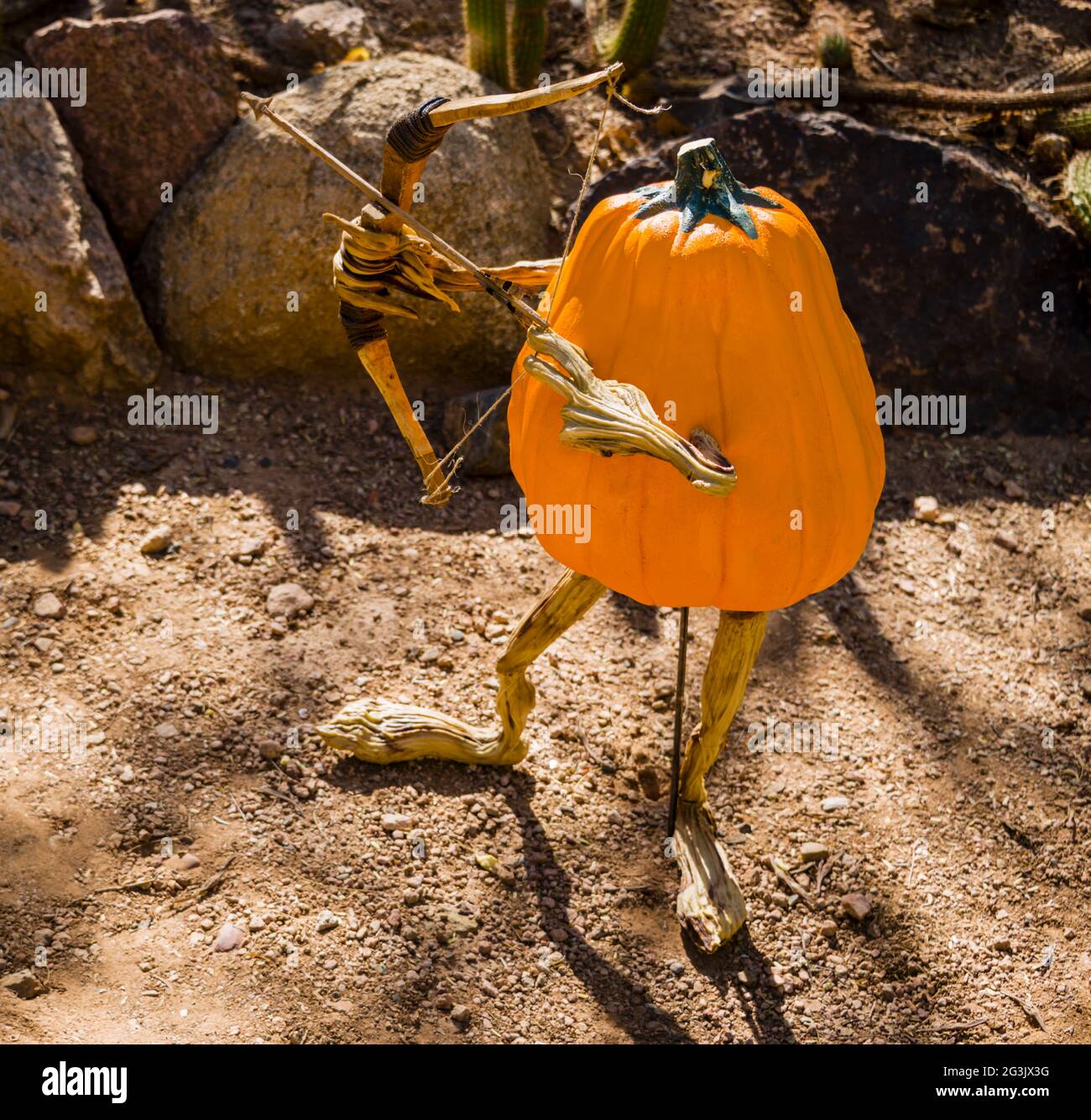 Desert Botanical Garden - Plants & Sculpture - Strange Garden - Ray ...