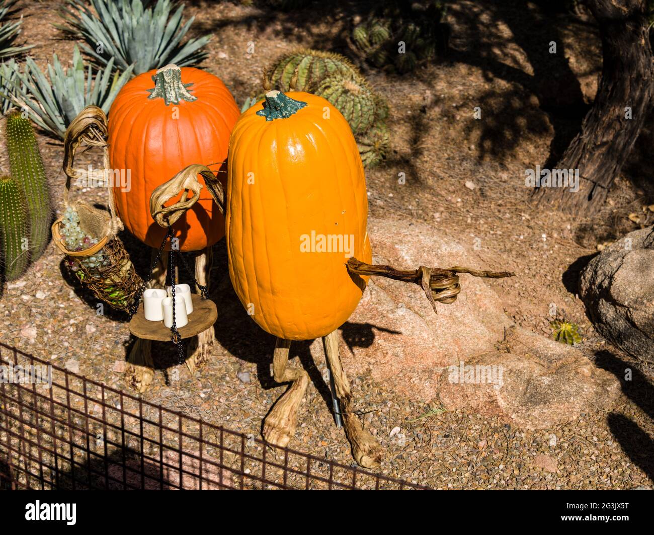 Desert Botanical Garden - Plants & Sculpture - Strange Garden - Ray ...