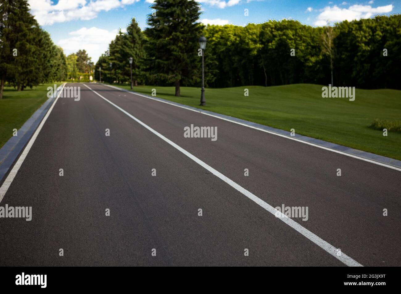 Forest or park road Stock Photo - Alamy