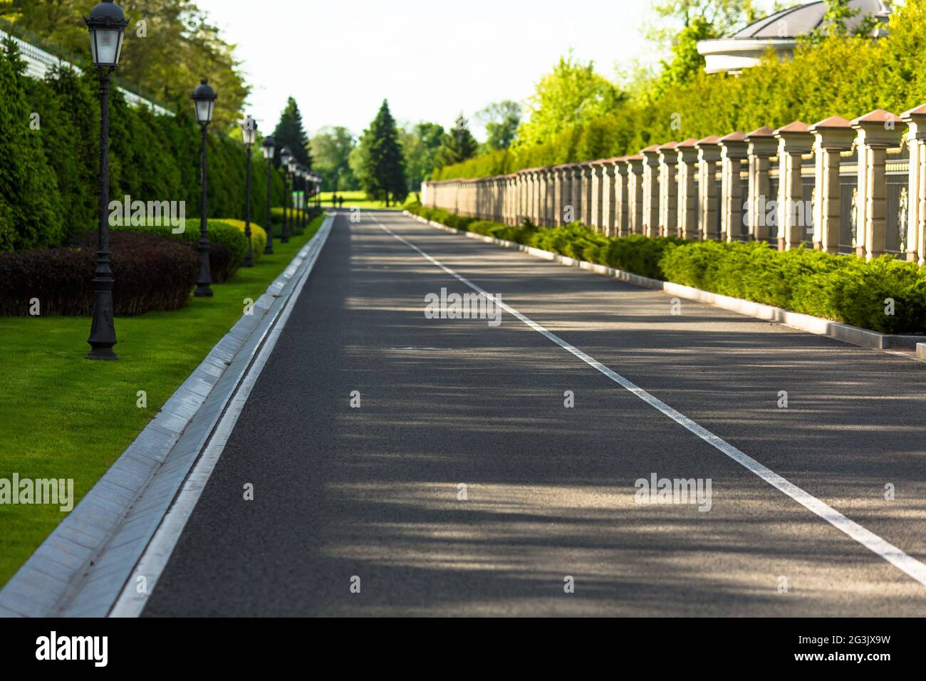 Forest or park road Stock Photo - Alamy