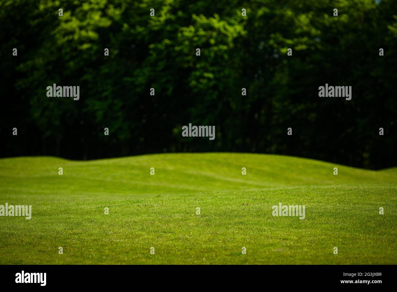 Golf course landscape hi-res stock photography and images - Alamy