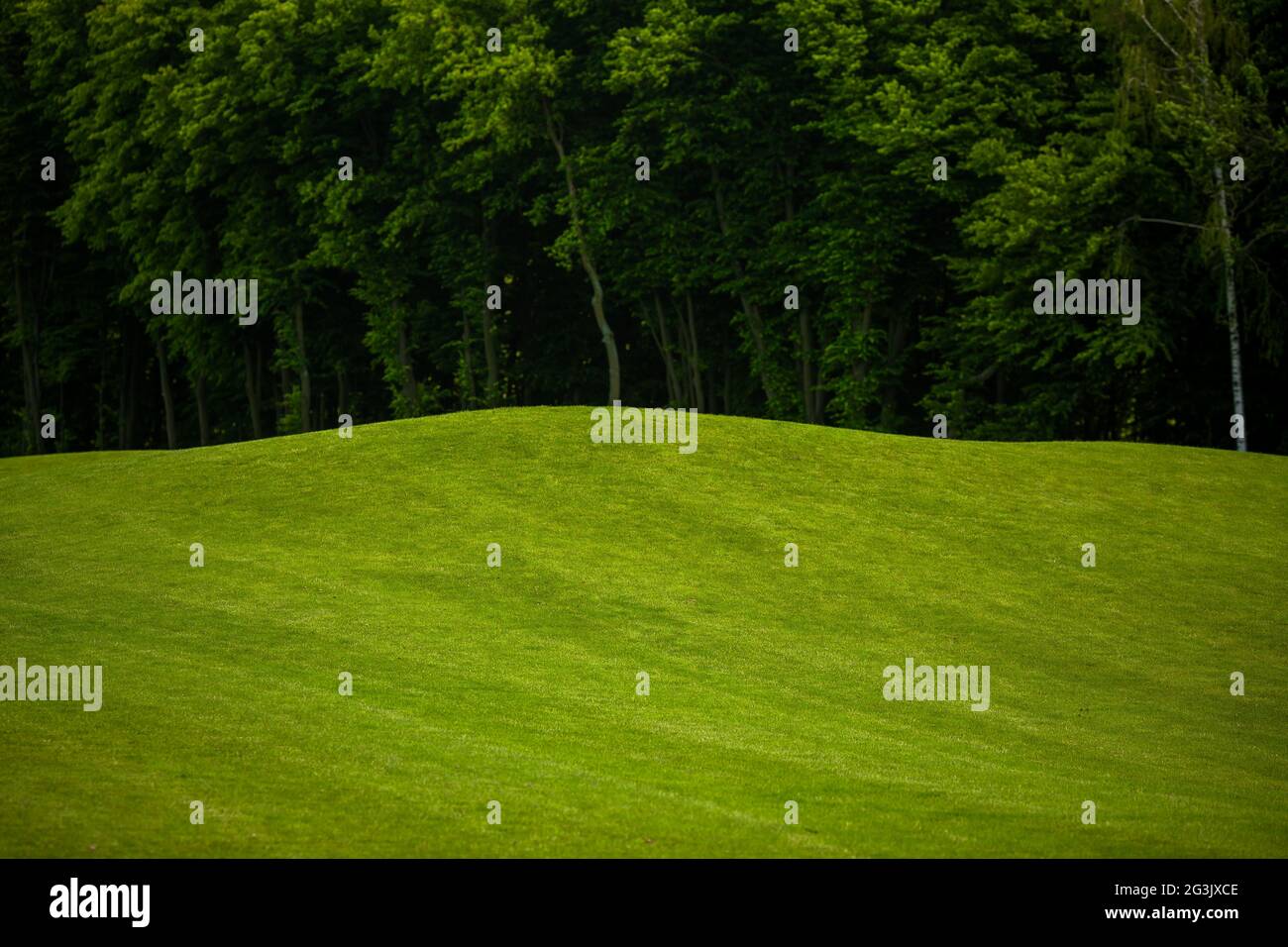 Golf course landscape Stock Photo - Alamy